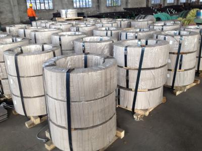 China EN 1.4037 / DIN X65Cr13 stainless steel strip coil / cold rolled, soft annealed for sale