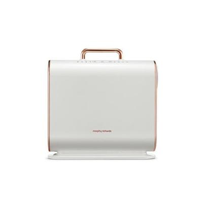 Chine Prix de performance pour l'élimination des acariens et le chauffage sur les petites sécheuses ménagères à vendre