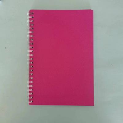 China Minimalist Notepad Set Solid Color Coil Design Meerdere kleuren en papier voor 2024 Gift Te koop