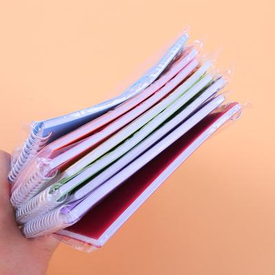 China Minimalist Notepad Set Solid Color Coil Design Meerdere kleuren en papier voor 2024 Gift Te koop