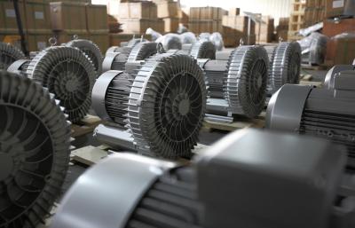 Cina Aria ad alta pressione Ring Blower Electric del ventilatore di Manica del lato del ventilatore in vendita