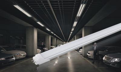 Cina Luce della metropolitana di Istruzione Autodidattica 75 T8 LED in vendita