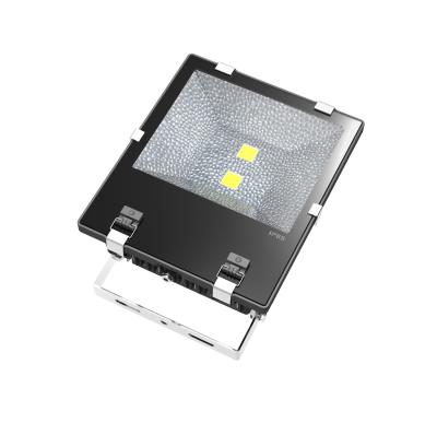 China No UV 100w Outdoor Led Flood Light 10000lm With Bridgelux Chip Meanwell driver for sale