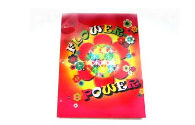 China Carpeta lenticular de la cartera 3D de los PP para el informe diario en venta