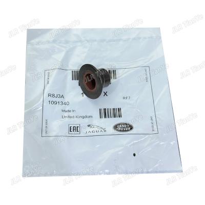 중국 랜드로버 3.0 5.0용 가솔린 밸브 줄기 오일 시일 LR078819 LR054369 AJ813623 판매용