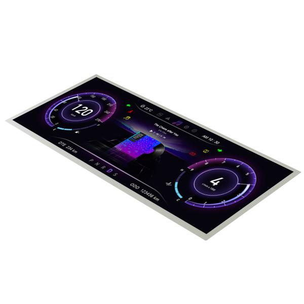 10.25 pollici Display LCD di bordo del veicolo Display LCD di auto 800Nits Luminosità