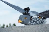Quality Hawk aerial reconnaissance drone that combines bionics with cutting-edge for sale