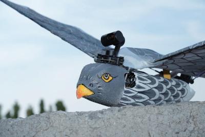 China Hawk aerial reconnaissance drone that combines bionics with cutting-edge technology for sale