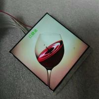 Quality 400 cd/m2 Industrial TFT Display 3.95 Inch TFT IPS Screen 480x480 For High for sale