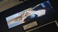 China 8.88 Inch 480x1920 IPS LCD Touch Display Panel 250 cd/m2 for Embedded Systems for sale