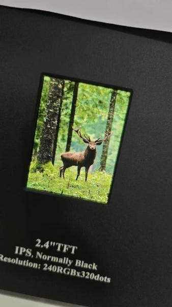 Quality 2.4 Inch LCD TFT Screen 240x320 IPS Display Panel Normally Black for sale