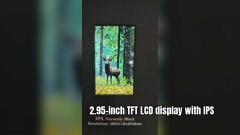 2.95-inch TFT LCD display with IPS normally black technology