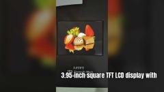 3.95-inch square TFT LCD display with IPS normally black technology