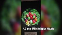 4.0 inch  TFT LCD display Module