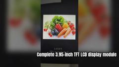 Complete 3.95-inch TFT LCD display module with IPS normally black screen
