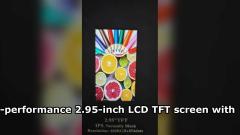 High-performance 2.95-inch LCD TFT screen with IPS