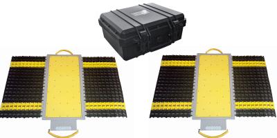 China escala portátil INPT011-Dynamic del camión en venta