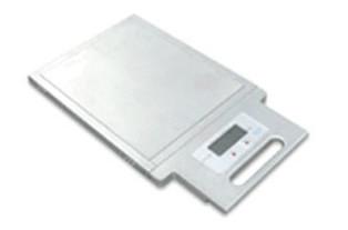 China Vehicle Wheel & Axle Weighing Pad IN-1DY-2T en venta