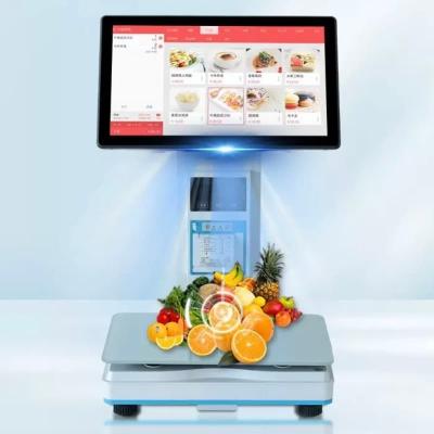 China Intelligent AI Weighing Scale 15kg Cash Register With Weighing Scale for sale