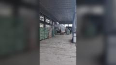 Daily shipping videos