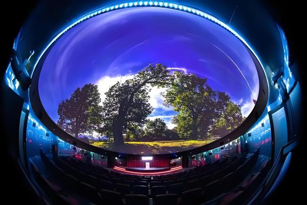 Quality 4D 9D VR Dome Cinema for Theme Parks with Motion Seats for sale