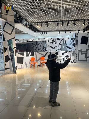 Китай XR Arena VR игра с интерактивными пушечными контроллерами продается