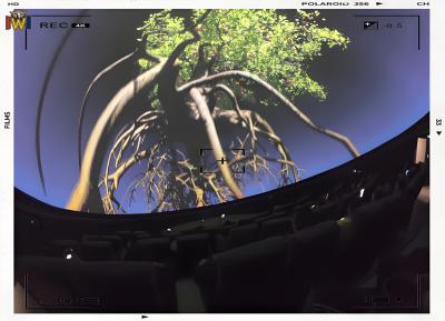 China VR Dome Cinema 4D/9D Flying Experience 3-5.2m Screen for sale