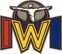 IWI INTERACTIVE BADMINTON SIMULATOR