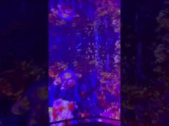 ocean exploring film producing