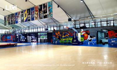 中国 紫外線抵抗力があるスポーツ ホールの賃貸料のバスケットボールのでき事の玄関ひさし 販売のため