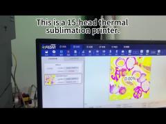 Epson I3200A1 8head Sublimation Printing Machine With Maintop6.1 Photoprint ONYX NeoStampa