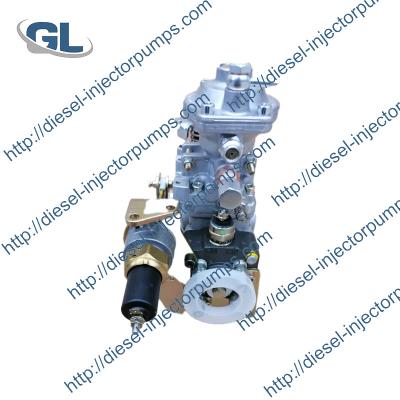 Cina Pompa di iniezione del carburante diesel di buona qualità VE4/12F1250R2068 0460424471 0 460 424 471 per Case New Holland Iveco F5CE Engine in vendita