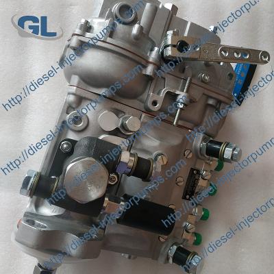 中国 High Quality Fuel Pump 10400874075 10400874076 A4076 10400874076B 2232506KY CPES4A80D410RS2523 for F4L912G BF4L912 販売のため