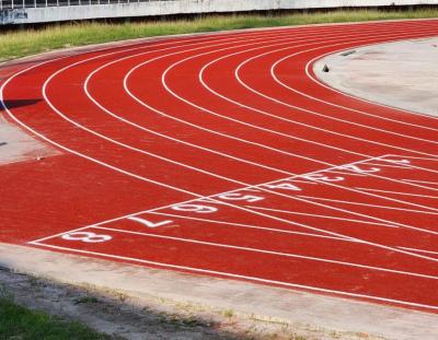 중국 융합 구조 반조립 달리기 트랙 활주로 13mm 판매용