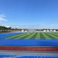 China Low Maintenance Integrated Running Track With Shock Absorption for sale