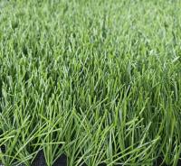 China Effective Drainage System For Big-Sized Artificial Football Pitches for sale