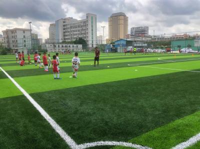 China PP Net SBR Backing Artificial Football Pitches With Quartz Sand Infill Material Option for sale