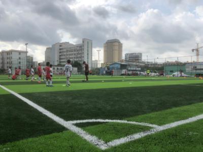 China 50mm Stem Shape Artificial Football Pitches With Disease Resistance for sale