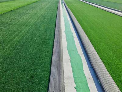 China China Stem Shape Artificial Football Pitches With 16.5 Stitches For Efficient Drainage System for sale