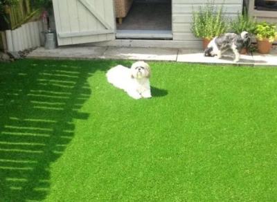 Cina 18 Stitches 12000DTex PP Net PU Backing Artificial Grass Turf With Superior Drainage Capacity in vendita