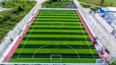 China 50mm Pile Height Artificial Grass with Easy Installation Soft Touch and High Tenacity for Football Fields for sale