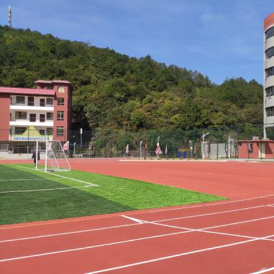 China Durable Sandwich System Running Track with EPDM Top Layer - Factory Direct Supplier for sale