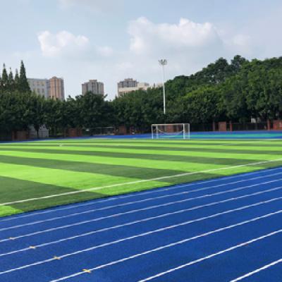 China Premium Sandwich System Rubber Running Tracks for Secondary Schools & Community Sports for sale