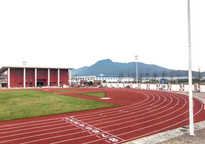 China Custom Color Running Track Turnkey Branding Solution Bespoke Team Design Personalized Surface for sale