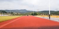 China Custom Color Running Track Turnkey Branding Solution Bespoke Team Design Personalized Surface for sale