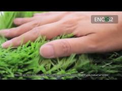 Voetbal gesimuleerd gras tapijt PP materiaal kunstgras imitatie gras voetbal synthetisch gras voetbal gras systeem voetbal gras ontwerp
