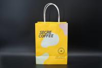 Quality OEM / ODM Printed Paper Carrier Bags Custom Paper Bags For Business Use for sale