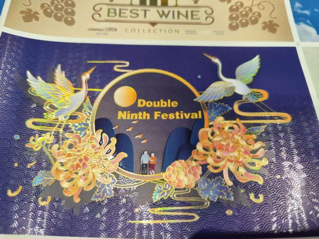 EcooSpark machine side view showing web path