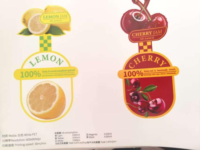 Sample labels printed on the Label Smart 216S