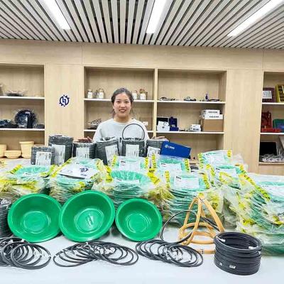 China Rammer S25 S29 S56 E64 E66 E68 Selo Hidráulico Kit de Reparação de Selo Original Parker Breaker à venda